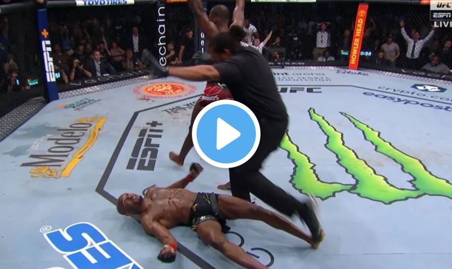 UFC 278 - Leon Edwards claque le head kick KO sur Kamaru Usman à la ...