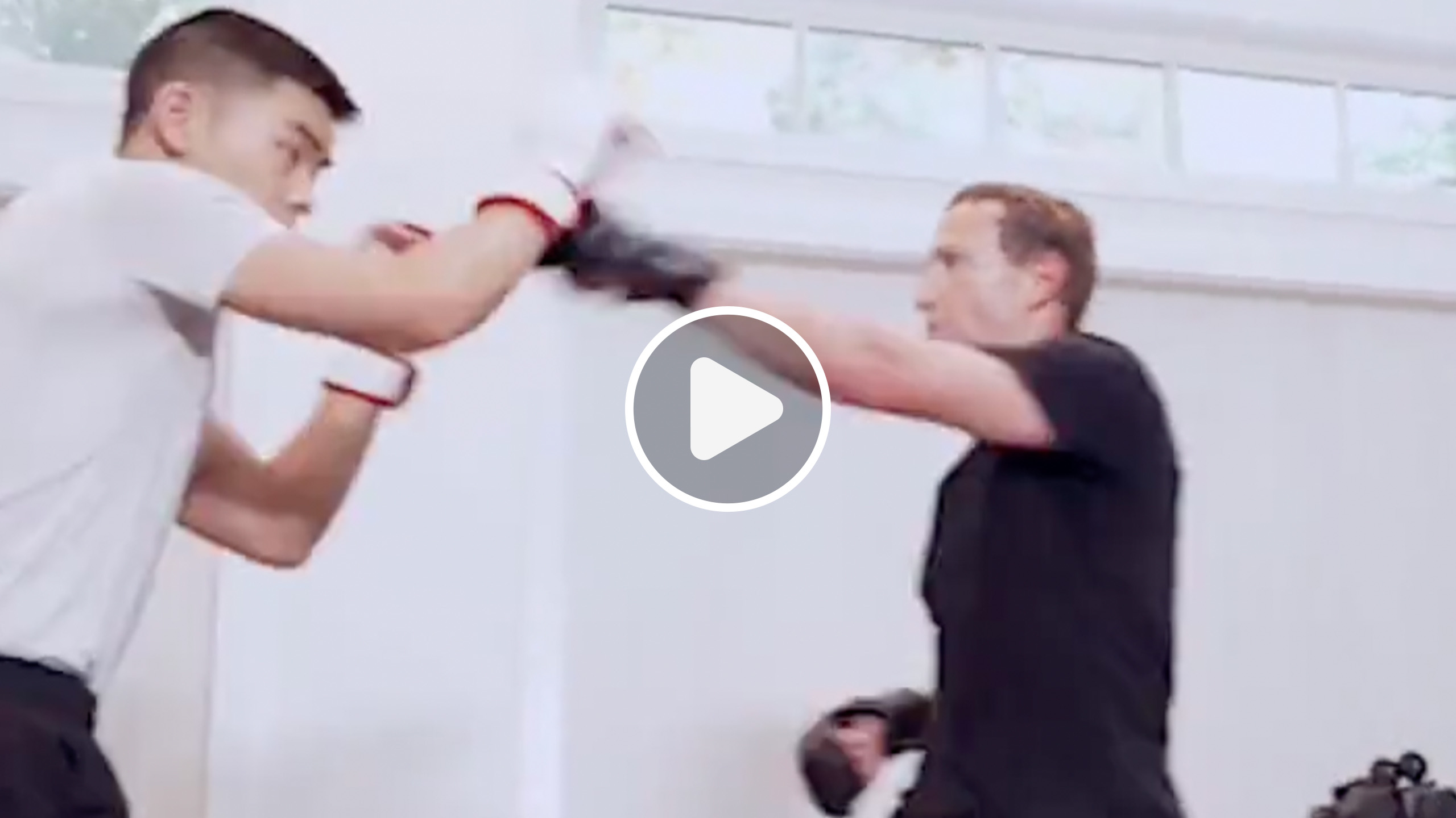 Mark Zuckerberg dévoile son entraînement de MMA, certains combattants ...